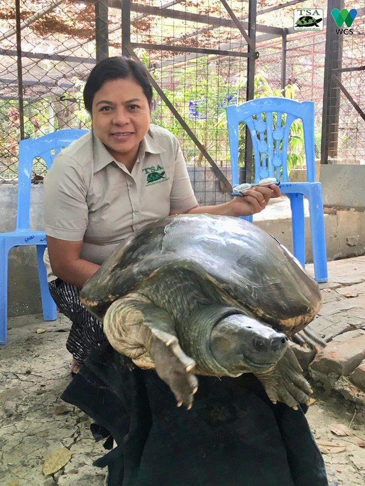 Construction Projects Wrapping Up in Myanmar – Turtle Survival Alliance