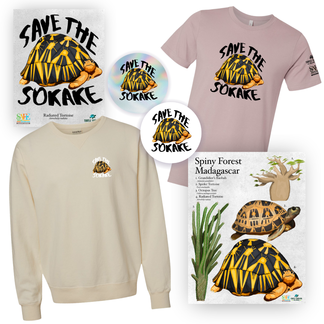 Save the Sokake – Turtle Survival Alliance