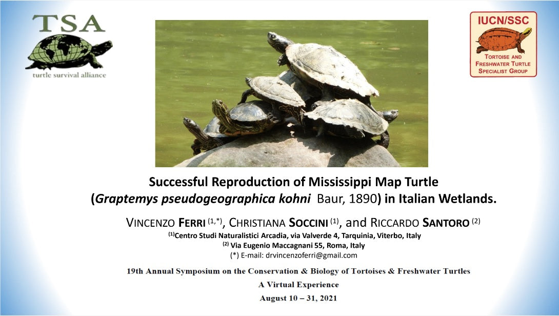 Successful Reproduction of Mississippi Map Turtle (Graptemys pseudogeo ...