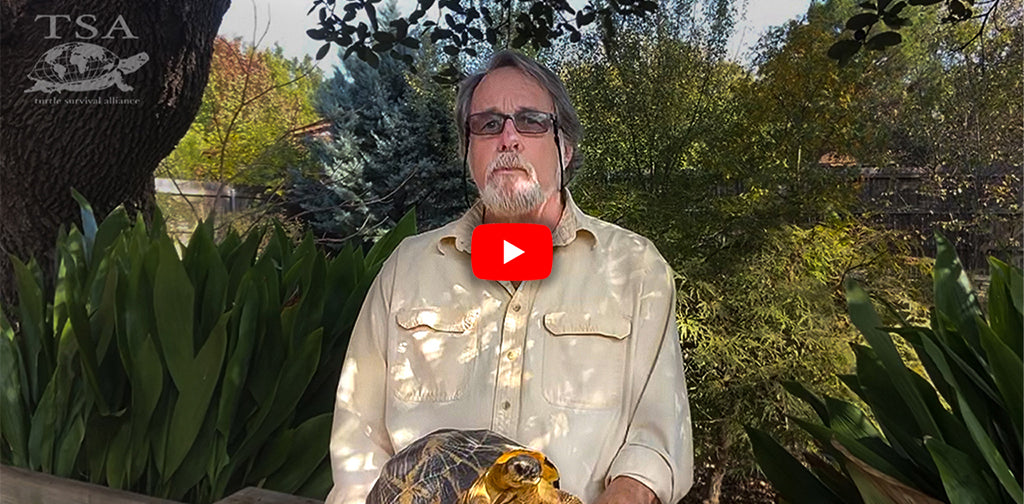A Message from TSA President, Rick Hudson – Turtle Survival Alliance