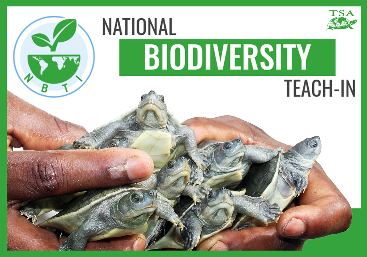 National Biodiversity Teach-In – Turtle Survival Alliance