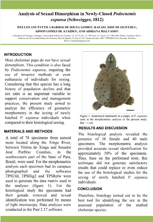 Analysis Of Sexual Dimorphism In Newly Hatched Podocnemis Expansa We Turtle Survival Alliance