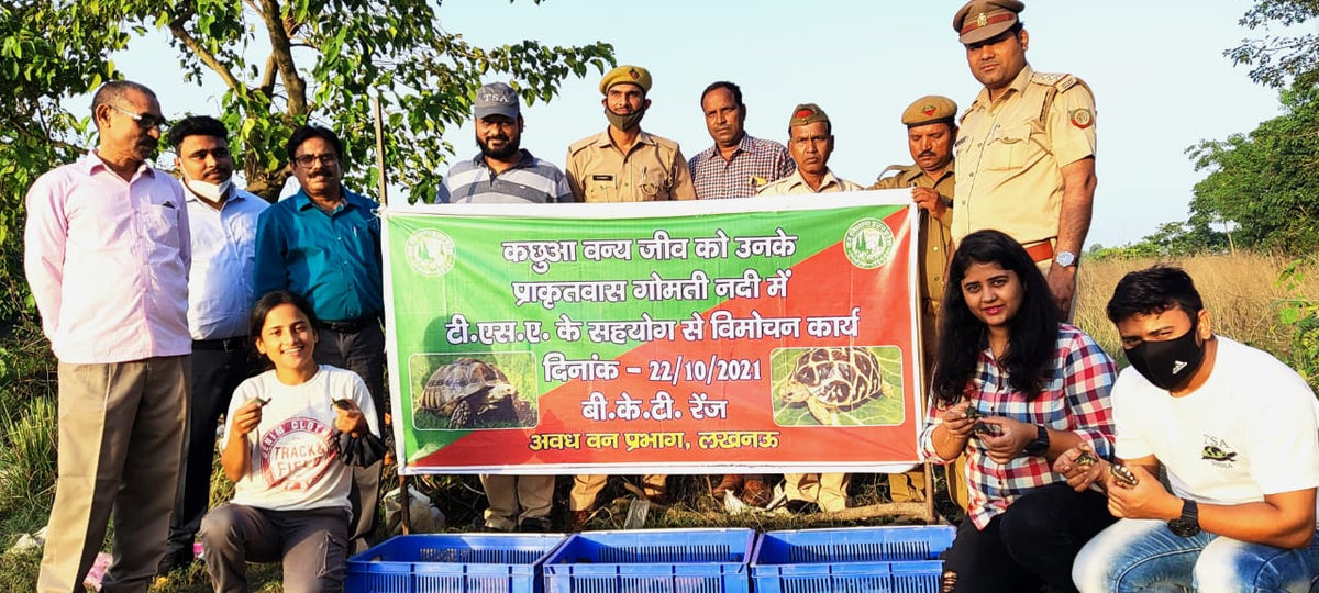 Poached Turtles Released into the Wild in India – Turtle Survival Alliance
