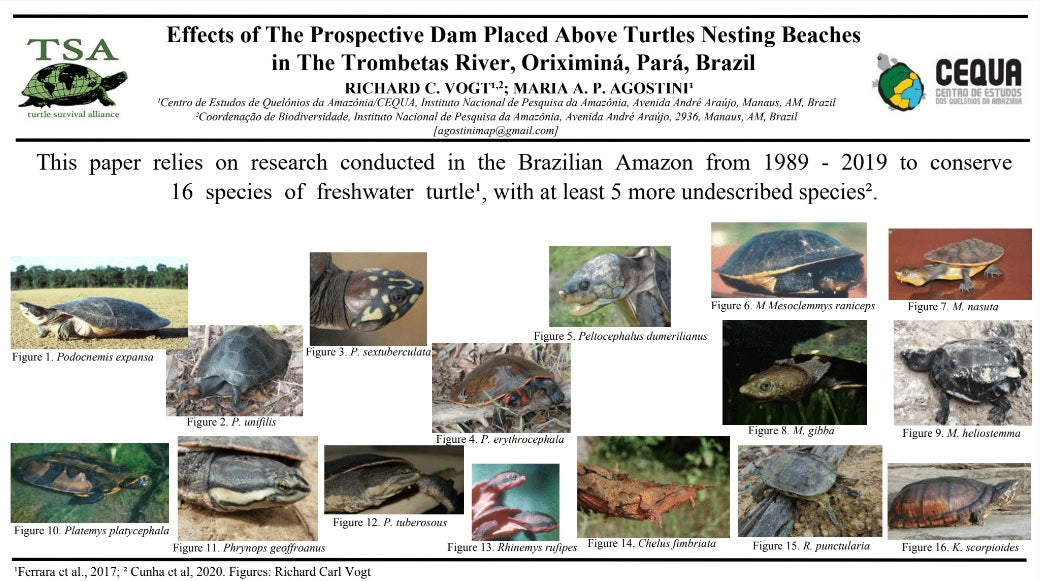 Effects of the Prospective Dam Placed in the Trombetas River Above Tur ...