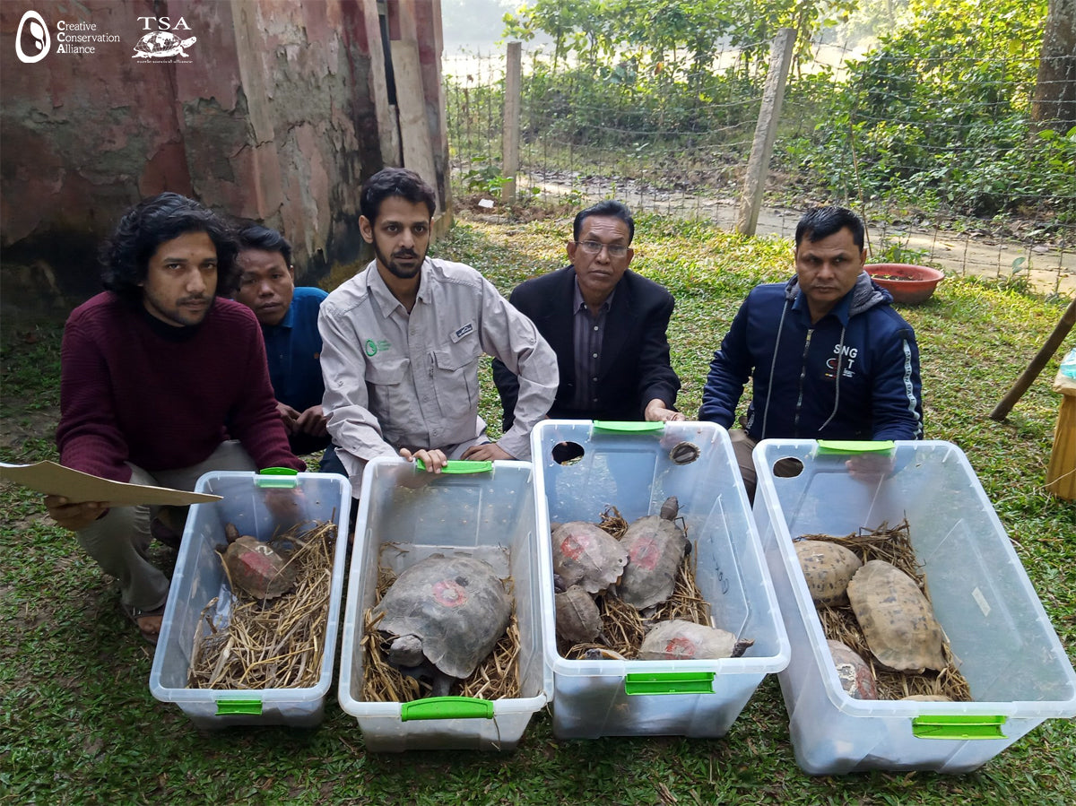 Rare Turtles Rescued in Bangladesh – Turtle Survival Alliance