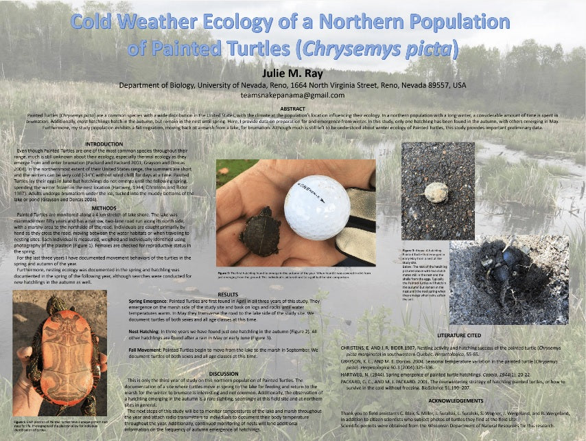 Cold Weather Ecology of a Northern Population of Painted Turtles (Chry ...