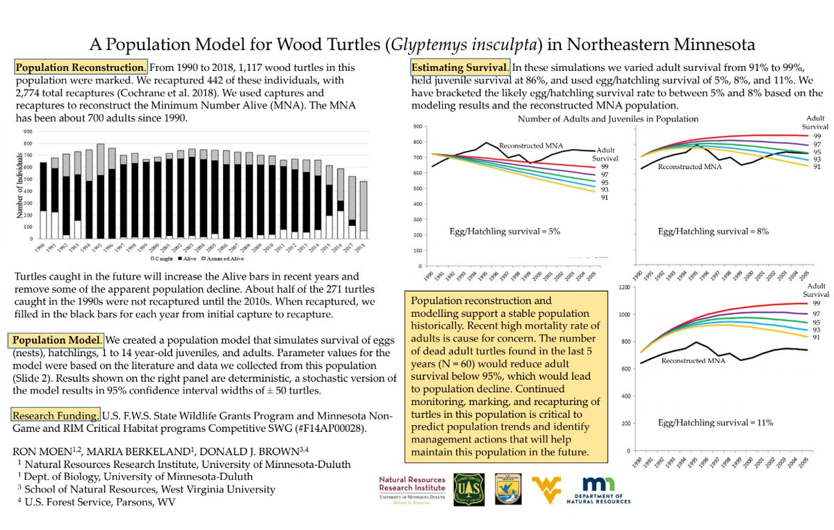 A Population Model for Wood Turtles (Glyptemys insculpta) in Northeast ...