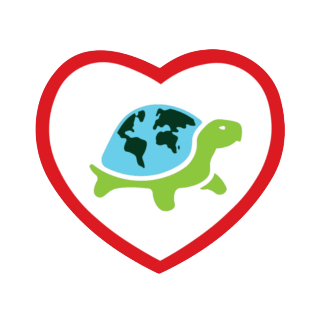 I Heart Turtles Die Cut Sticker – Turtle Survival Alliance